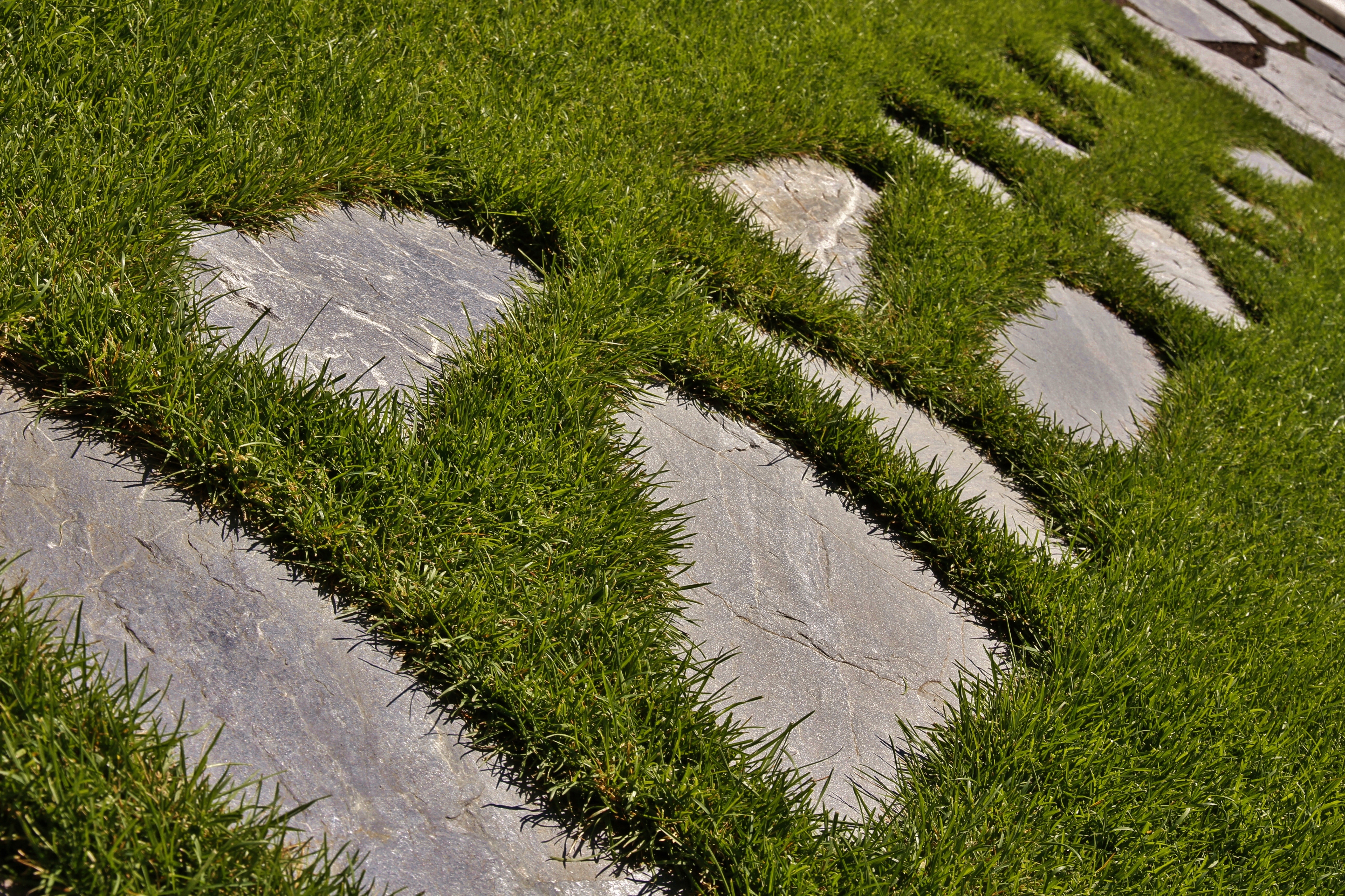 Erin Ruff Kelowna 2012 | K2 Stone